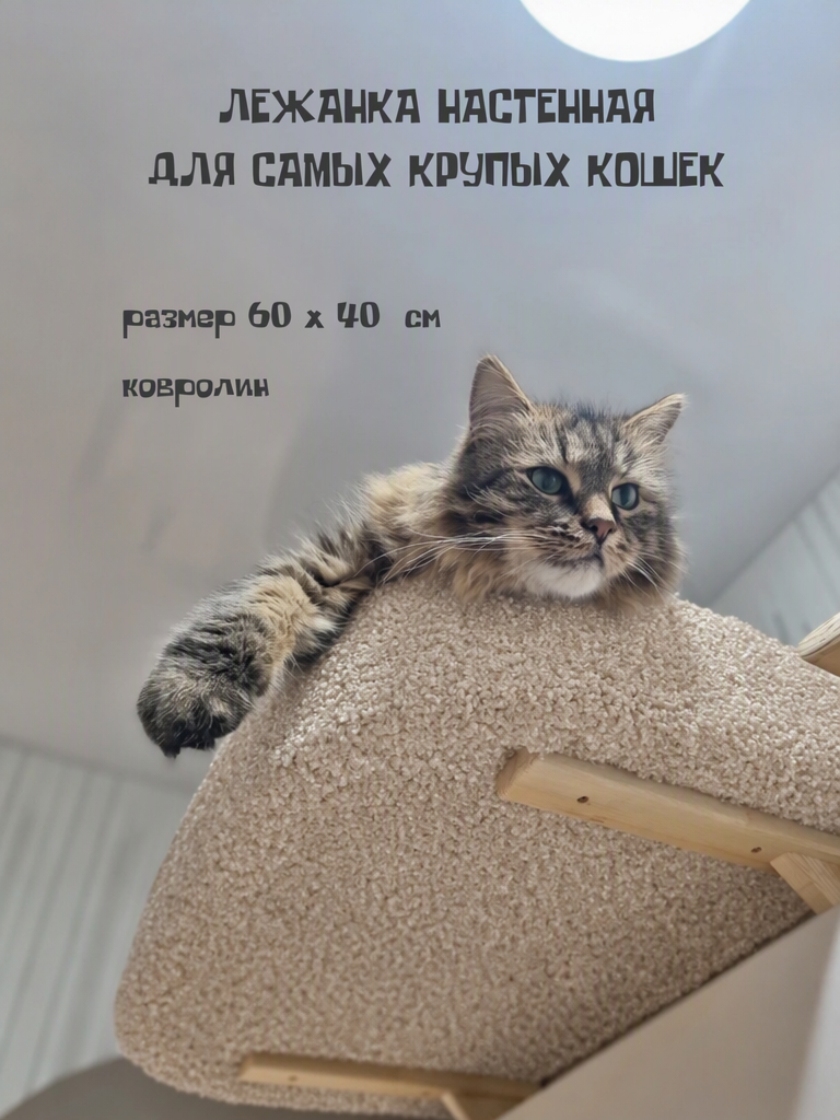 Лежанка для кошек, лежанка для собак, Ван Кот, настенная, с бортиком, ковролин, 60х40 см