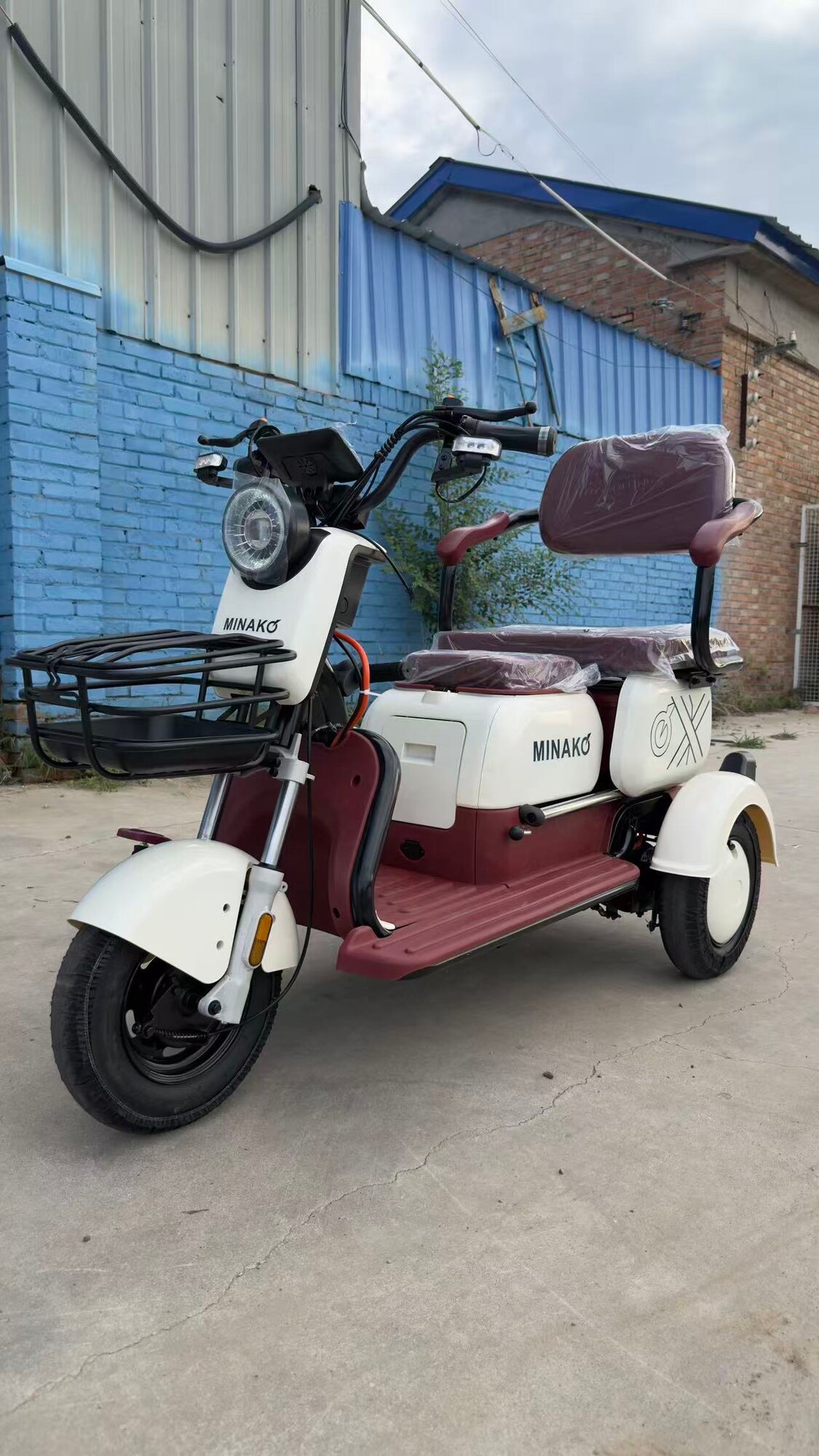 Электрический трицикл Minako Gamma 48V 20Ah, зеленый