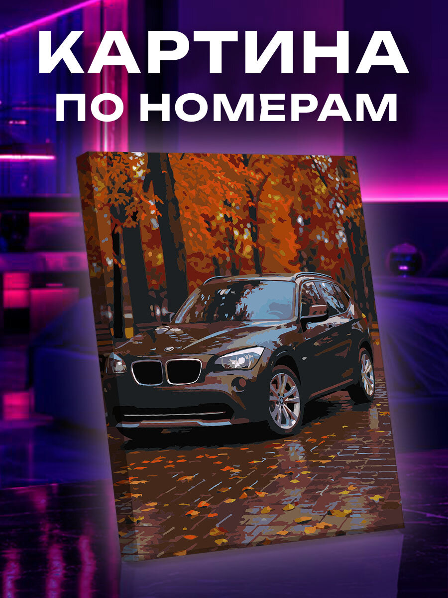 Картина по номерам Коричневый BMW в осеннем парке