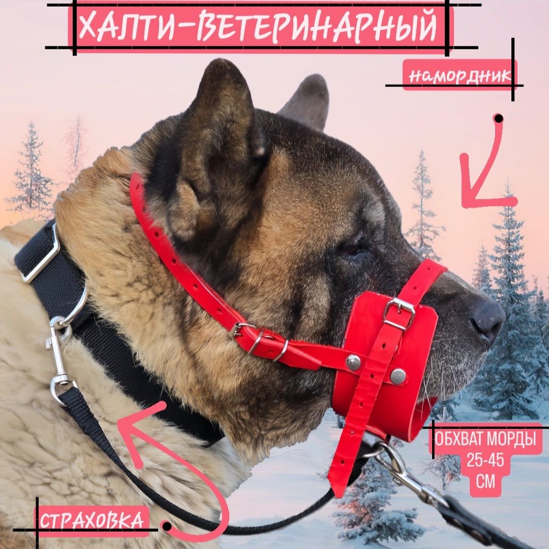Халти ветеринарный, недоуздок для собак крупных пород, намордник