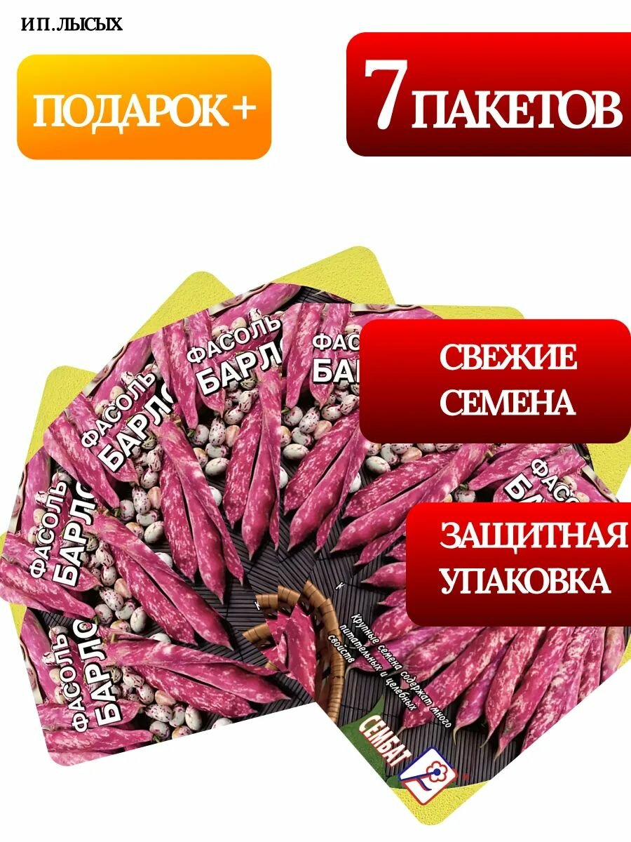 Семена Фасоль "Барлотто"