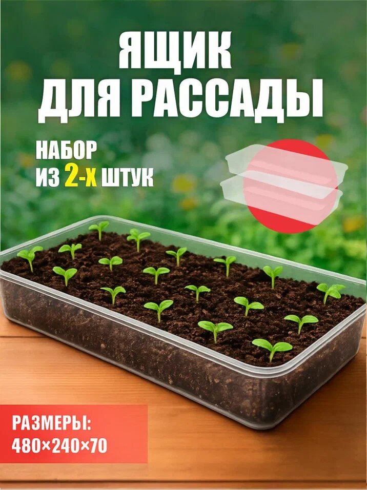 Комплект из 2-х ящиков для рассады для подоконника пластиковый 480*240*70
