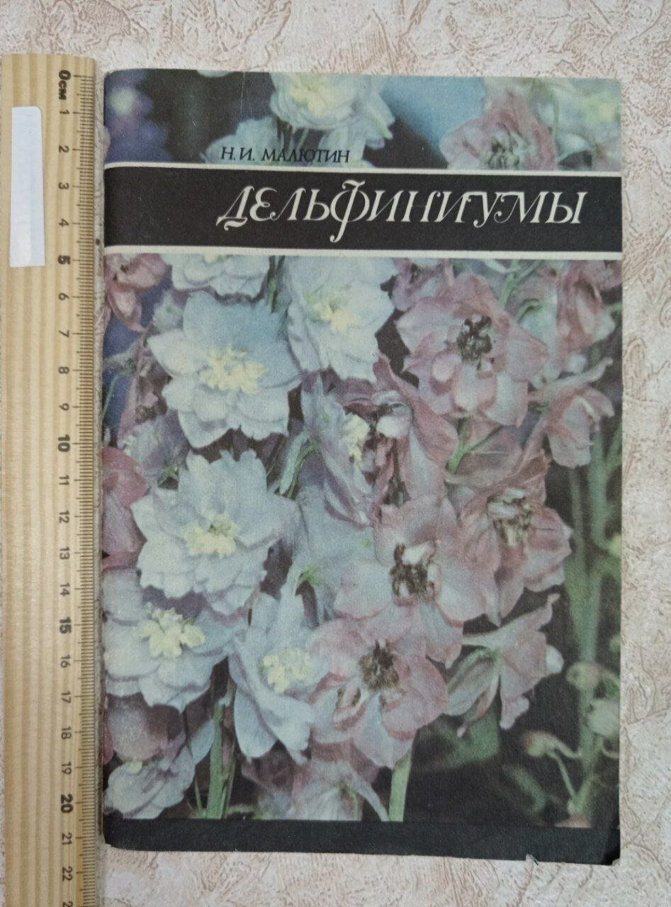 Дельфиниумы