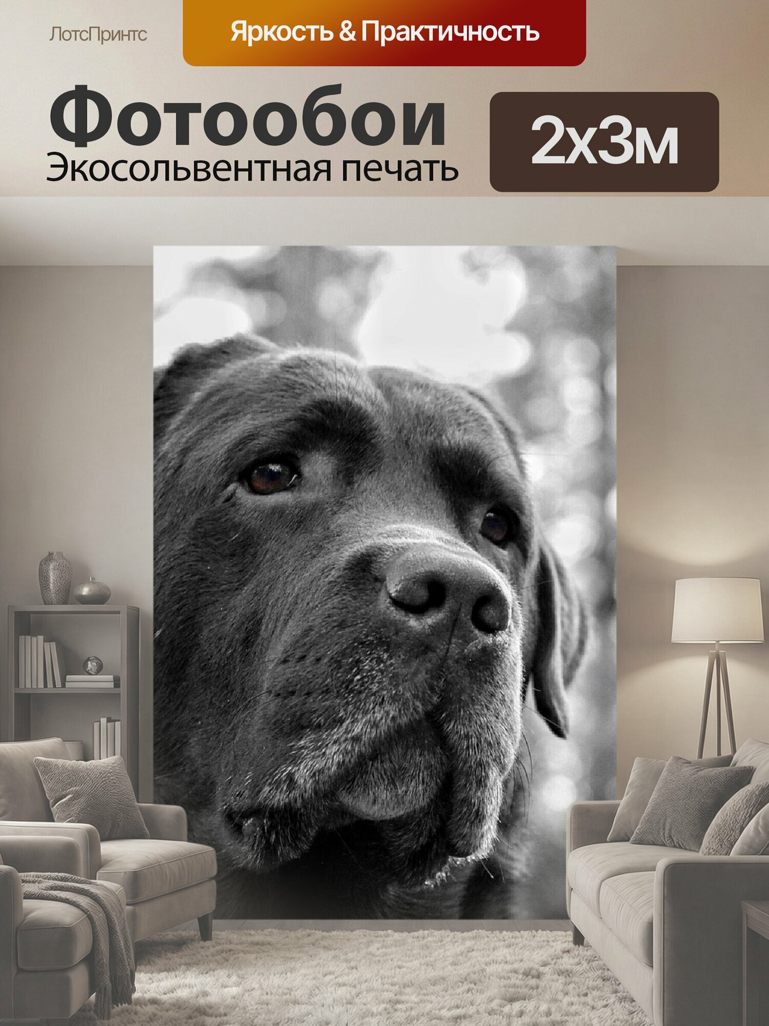 Фотообои "Собака, выражение, лабрадоры" 200x300 см. экосольвентная печать
