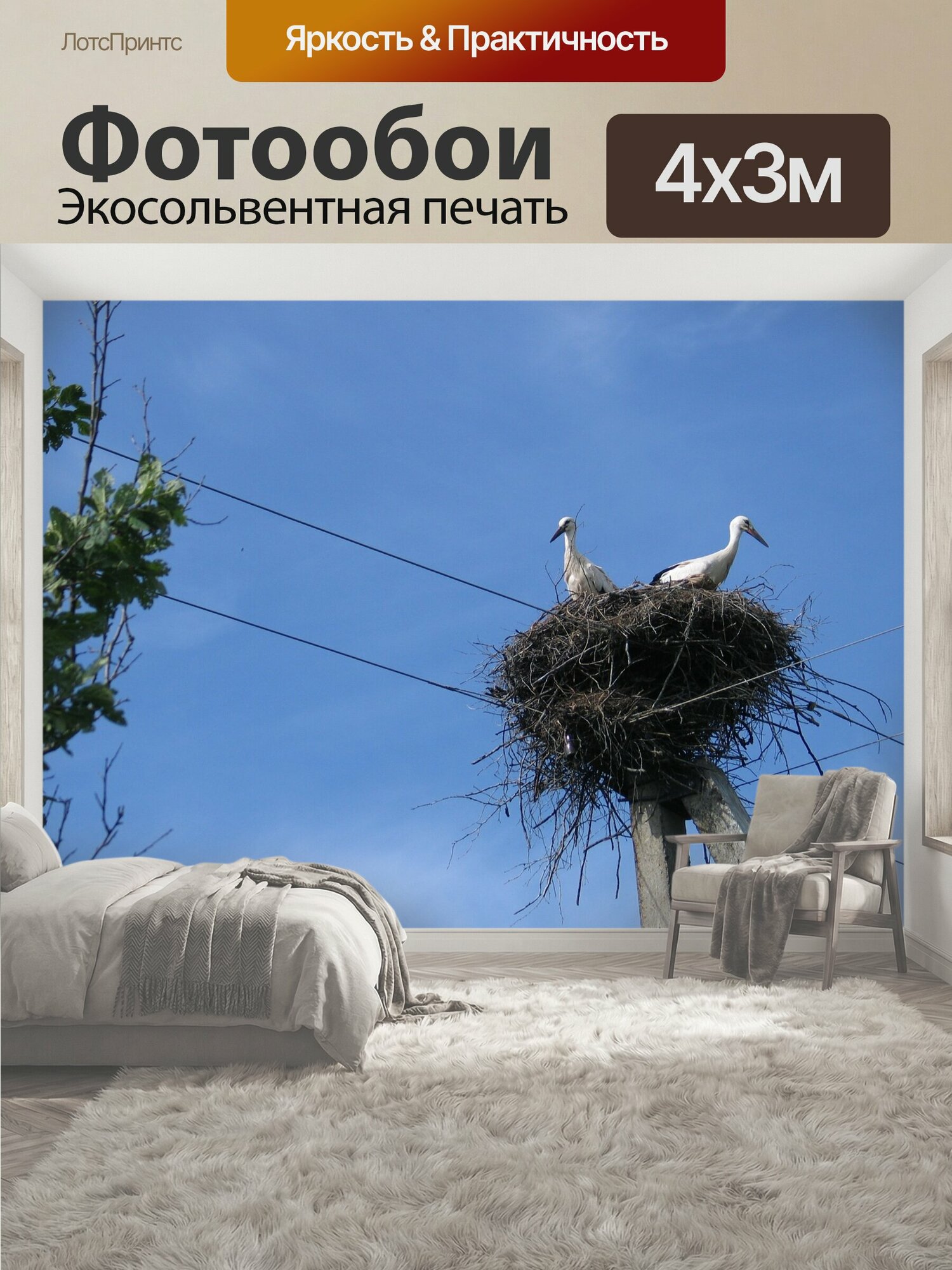 Фотообои "Аист, гнездо, птицы" 400x300 см. экосольвентная печать