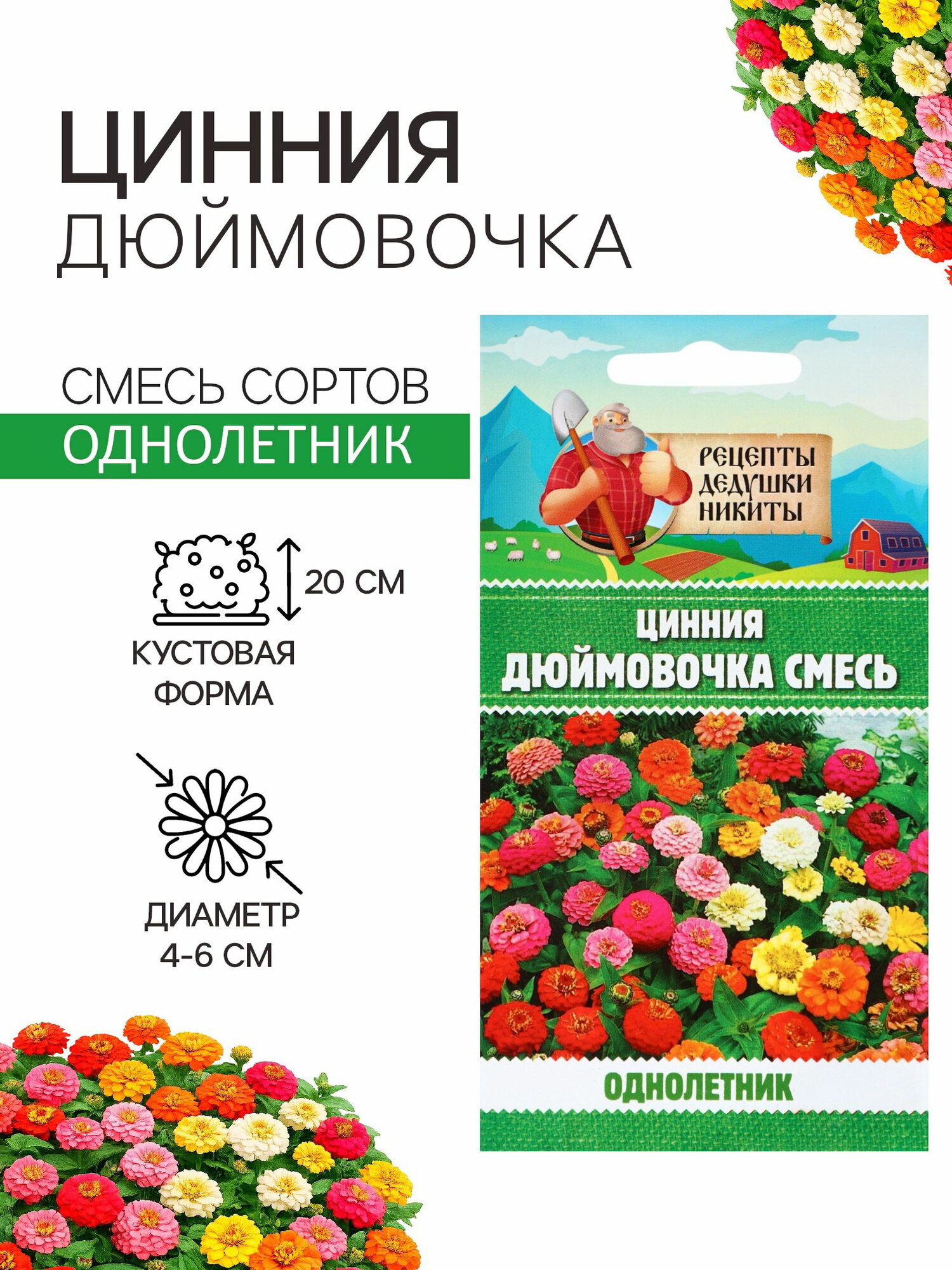 Семена цветов Цинния "Дюймовочка", 0.2 г, цветение период: август