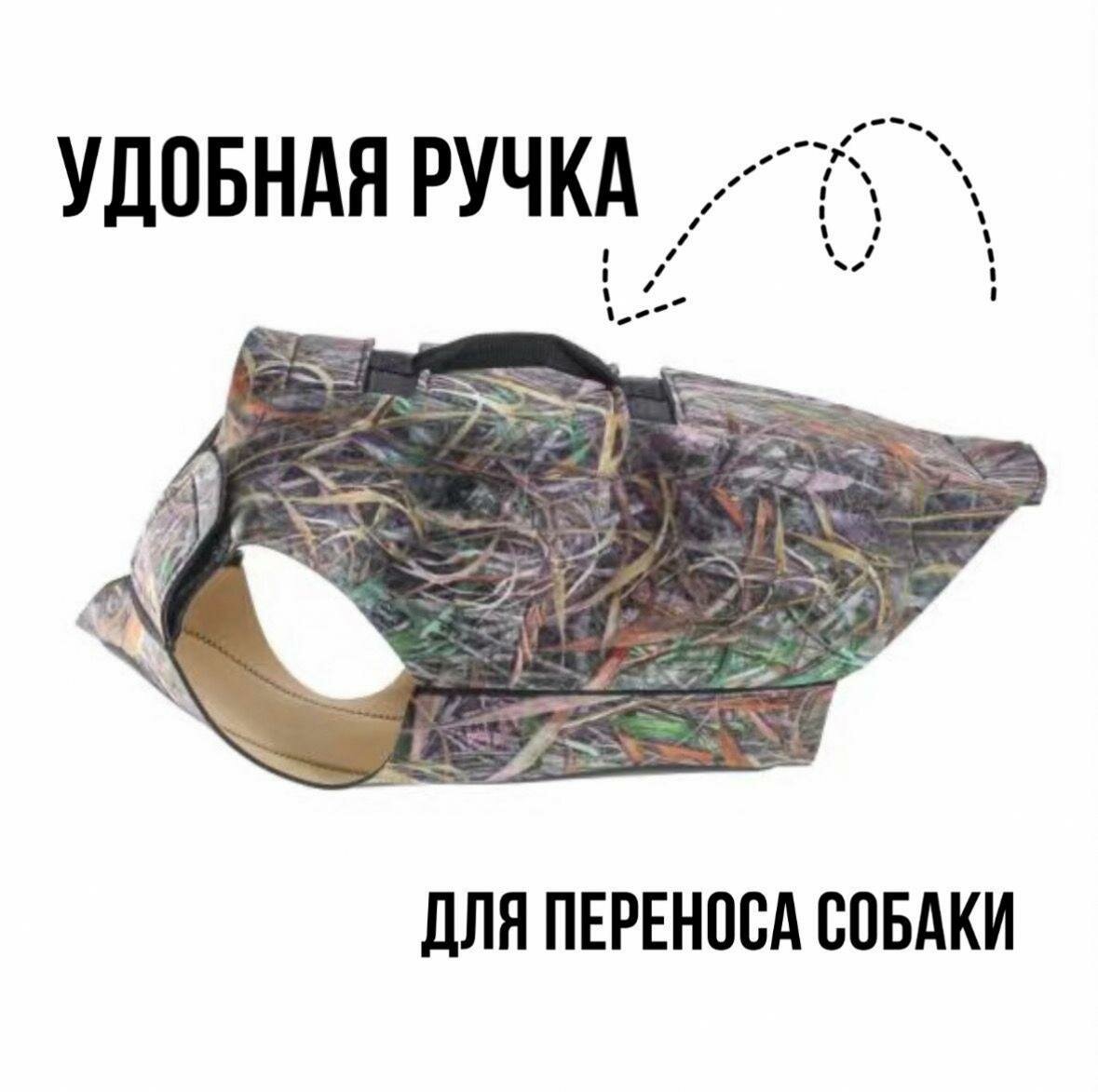 Одежда для животных