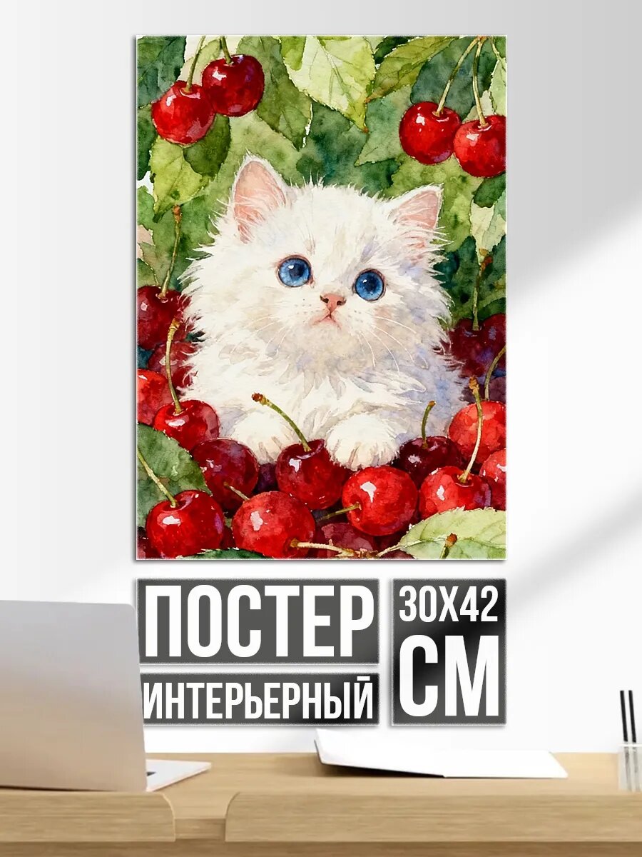 Плакат постер Белый котёнок и вишня