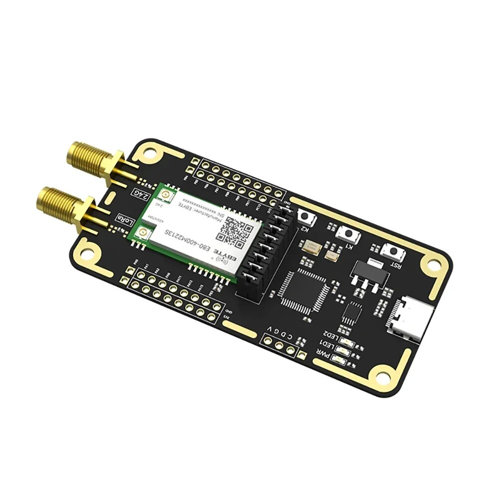 Беспроводной модуль LoRa CDEBYTE E80-400M/900M E80-400MBL-01