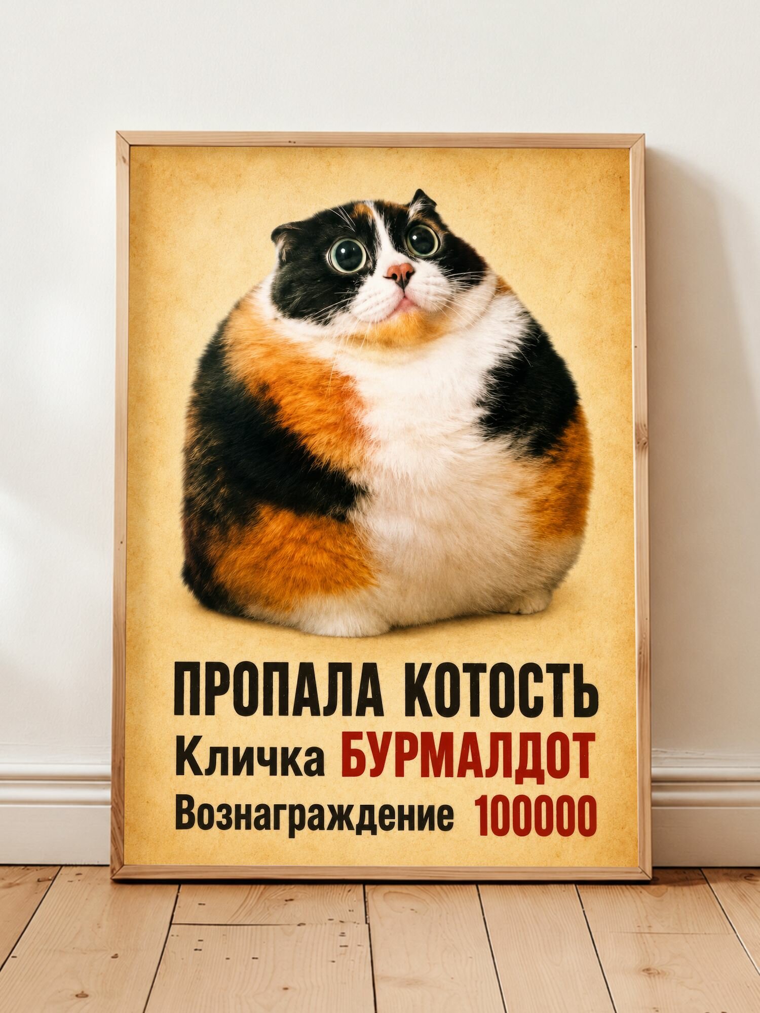 Постер на стену Котость мем — фото 1
