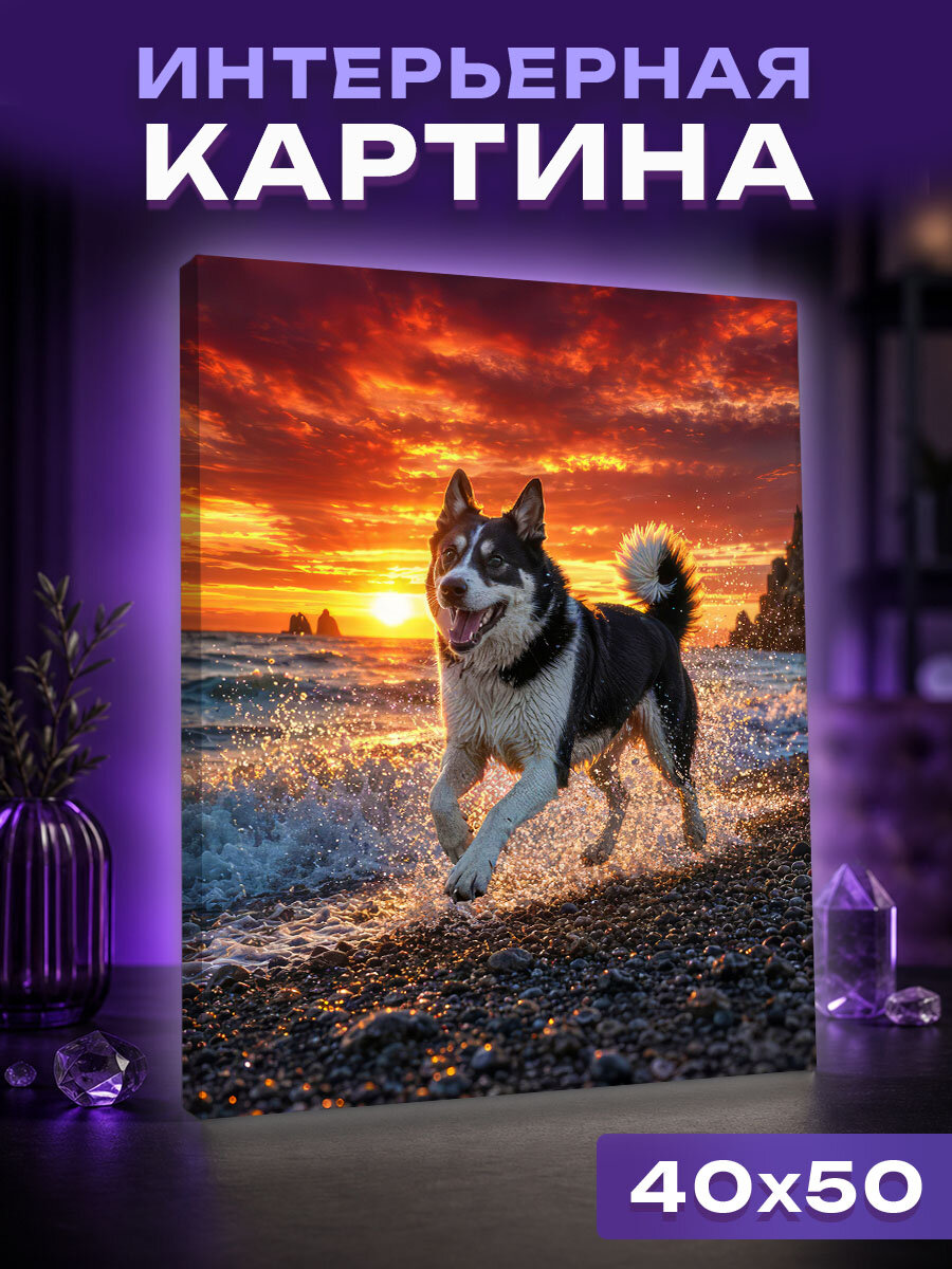 Интерьерная картина Лайка бежит по воде при северном закате