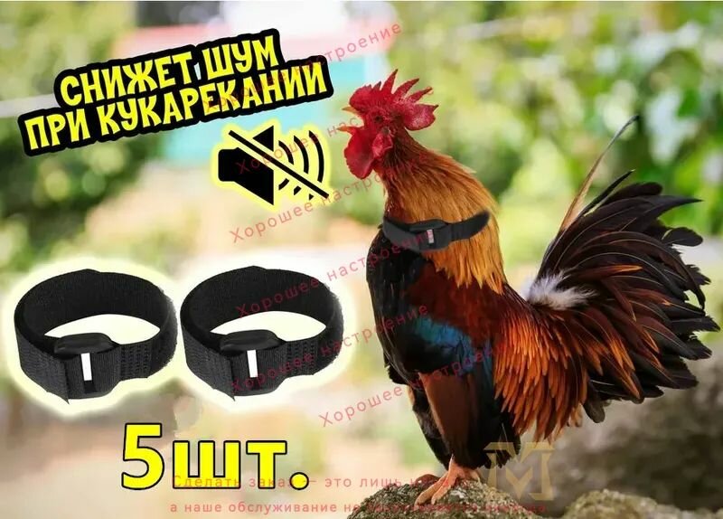 Воротник петуха / ошейник для петуха. Снижает шум при кукарекании5шт. петушиный воротник антишум для петуха снижение шума кукарекания