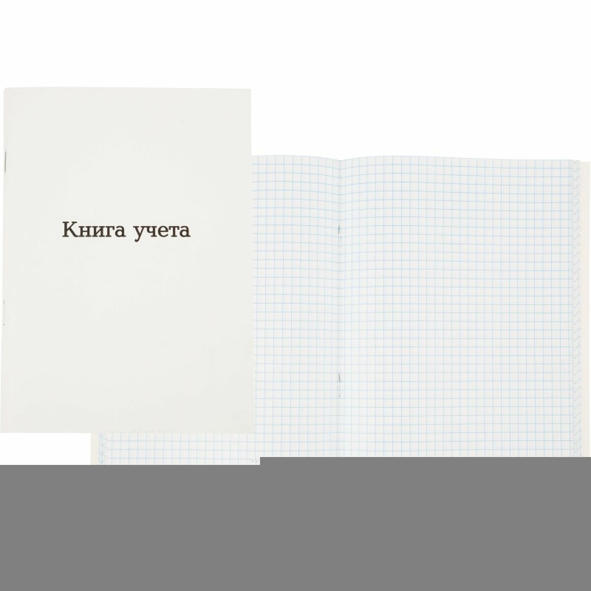 Бухгалтерская книга учета Attache (А5, 96л, клетка, офсет, скрепка, картон мелованный) (1805249)