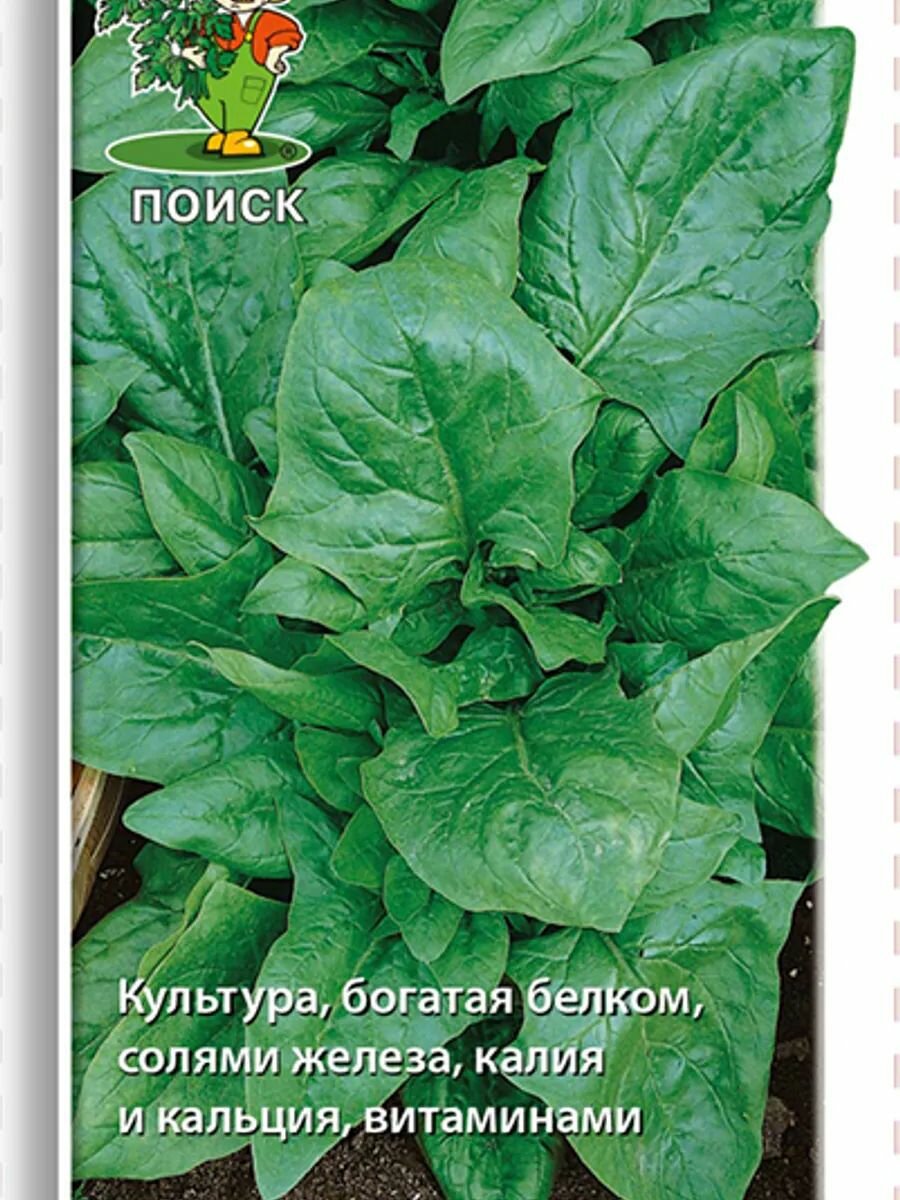 Шпинат Стоик ц/п 3 г, Семена Поиск