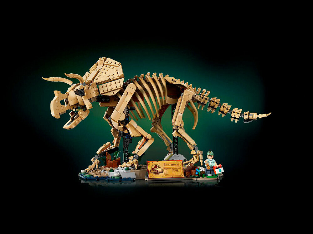 Конструктор LEGO Jurassic World 77985 Конструктор Окаменелости динозавров: Трицератопс