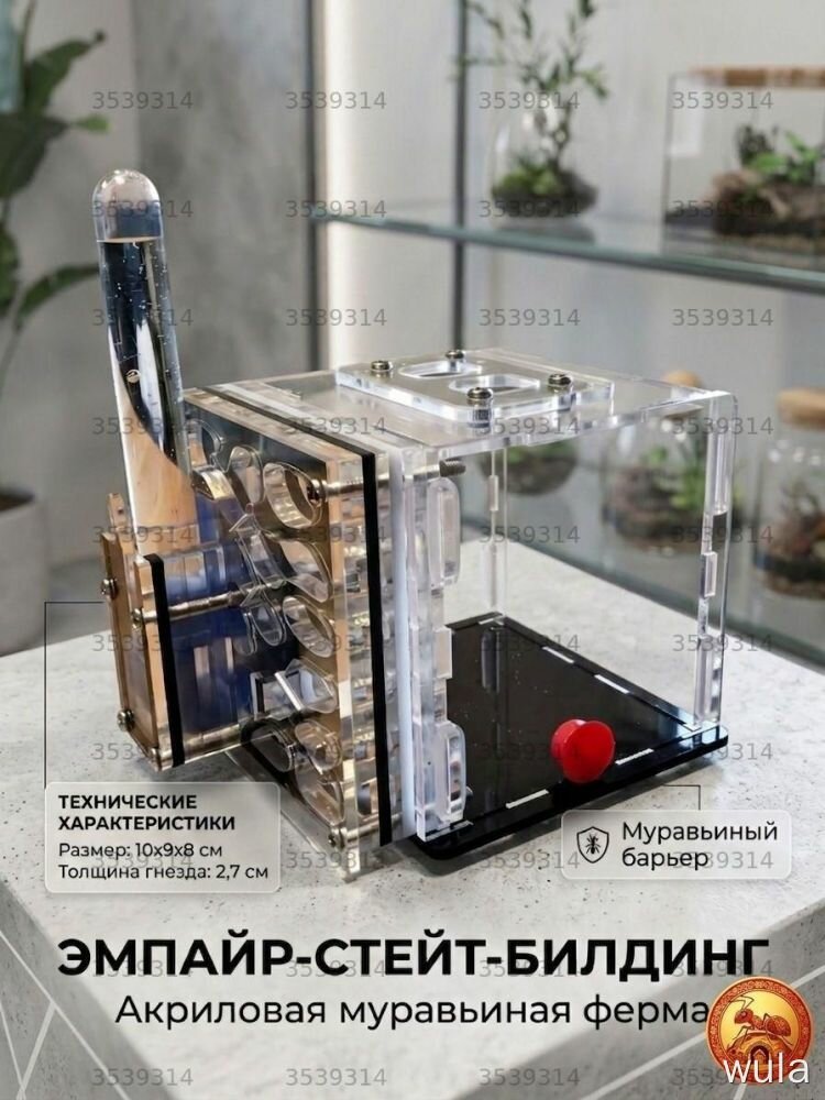 Муравьиная ферма формикарий