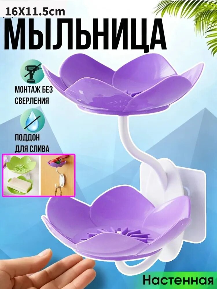 Мыльница