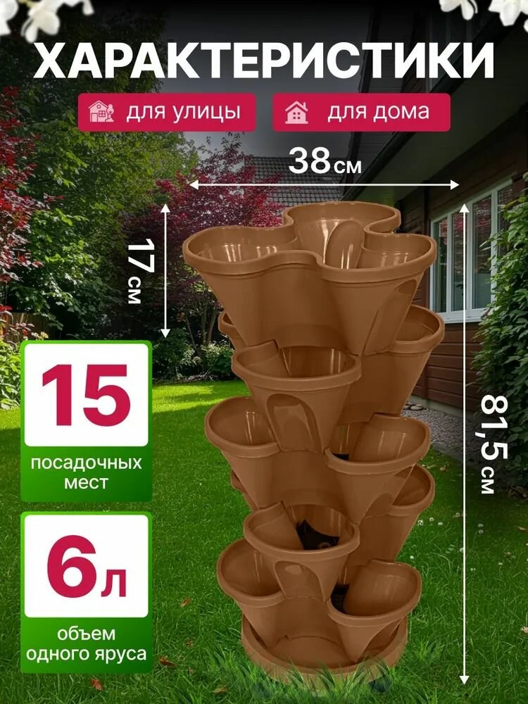 Грядка — фото 1