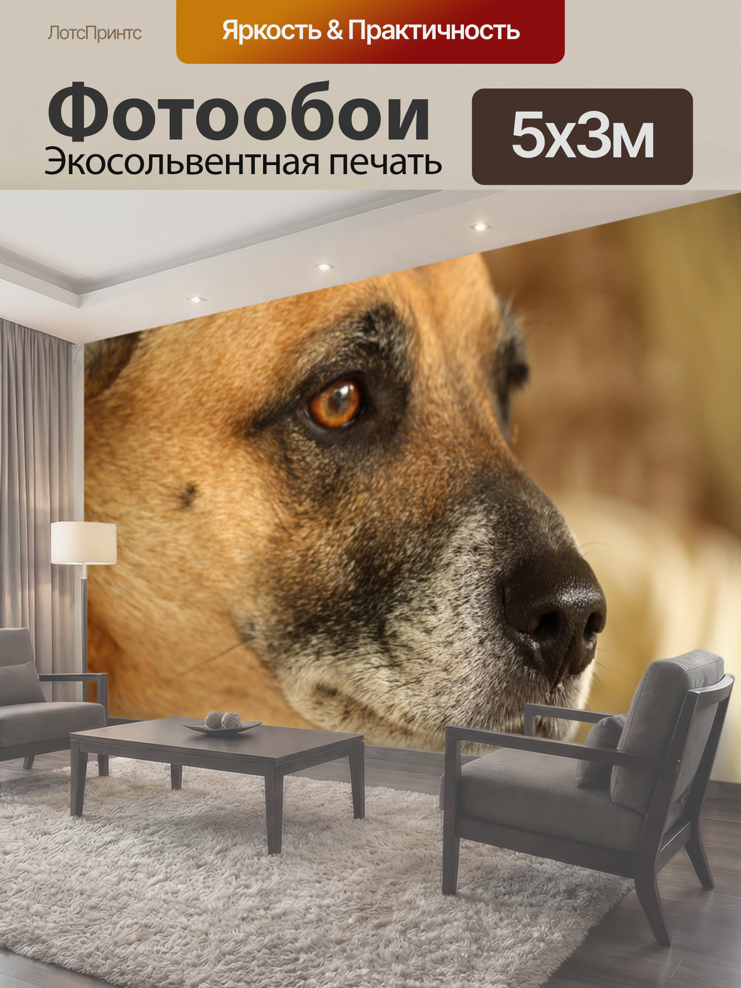 Фотообои "Собака, дворняга, гибрида" 500x300 см. экосольвентная печать