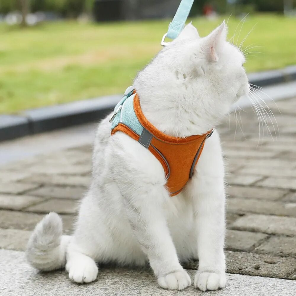 Кошачий хомут/ободок