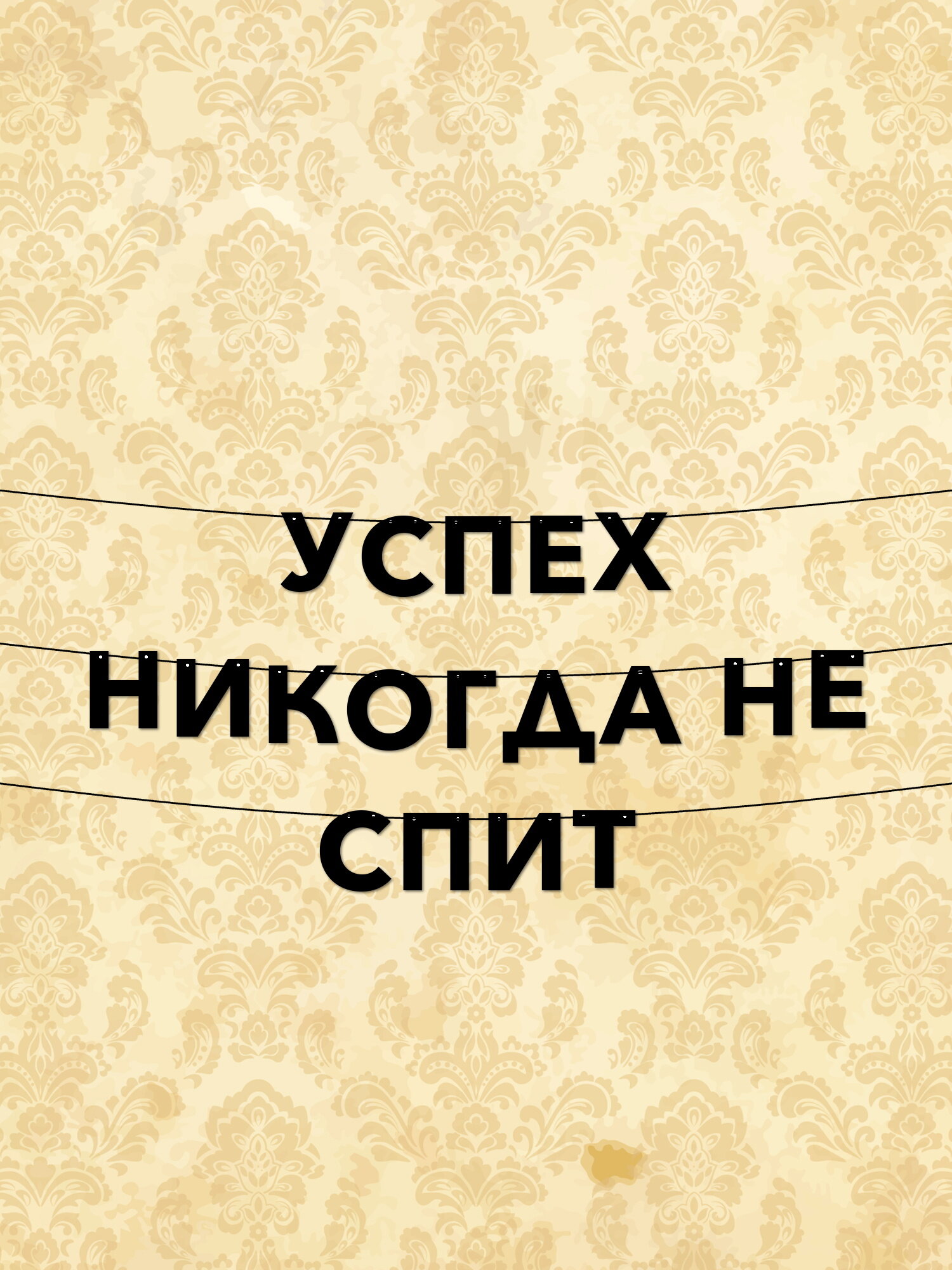 Гирлянда с буквами на веревке успех никогда не спит - для праздников и вечеринок, высота букв 10 см, толщина букв 1 мм, ручная работа.