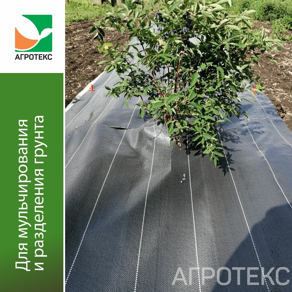 Агротекс Профф Геоткань 100 "UV"- чёрный 1,6*10м (с белой нитью, шаг 20см) (в кор)