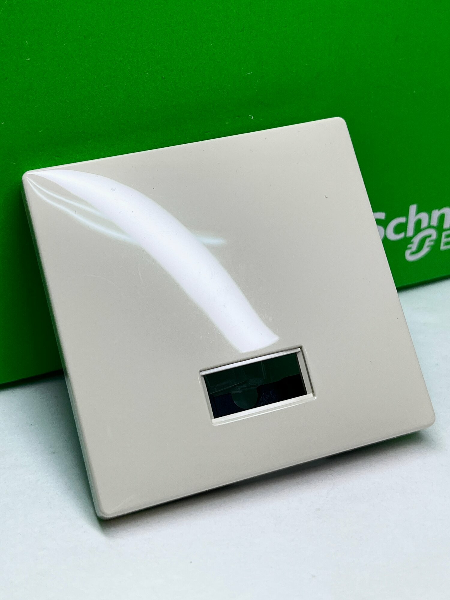 Клавиша Schneider Electric Merten Antique/Artec одиночная с окном для символа. Бежевая MTN411844