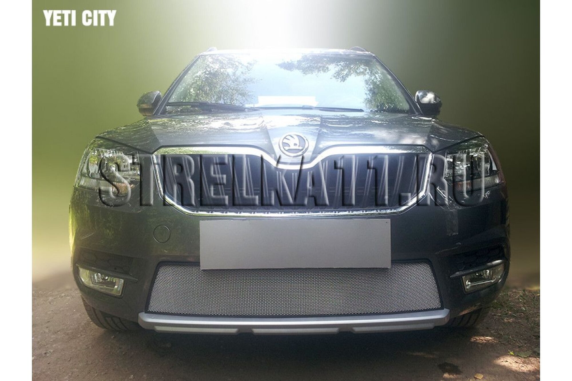 Защитная сетка радиатора с окантовкой и защелками для Skoda Yeti City 2014-, хром