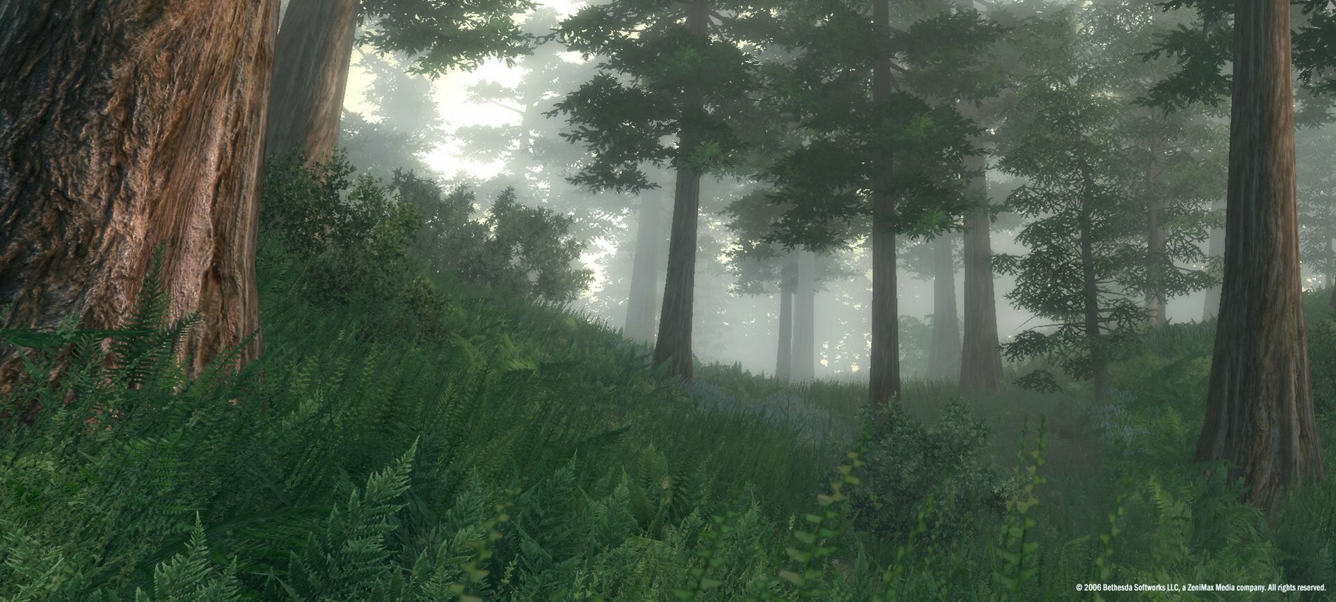 The Elder Scrolls IV: Oblivion Издание GOTY PC Steam Подарок