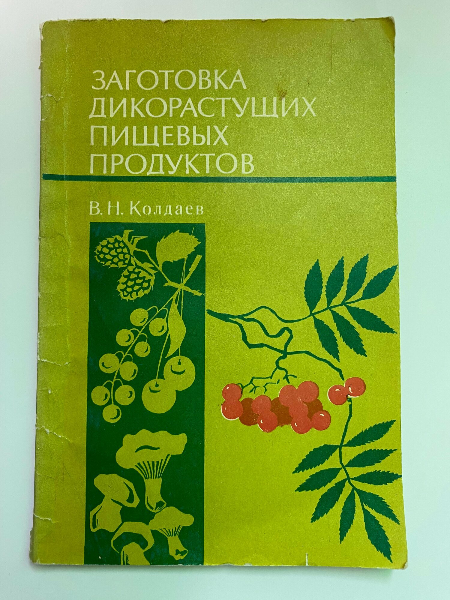 Заготовка дикорастущих пищевых продуктов (1972 год)