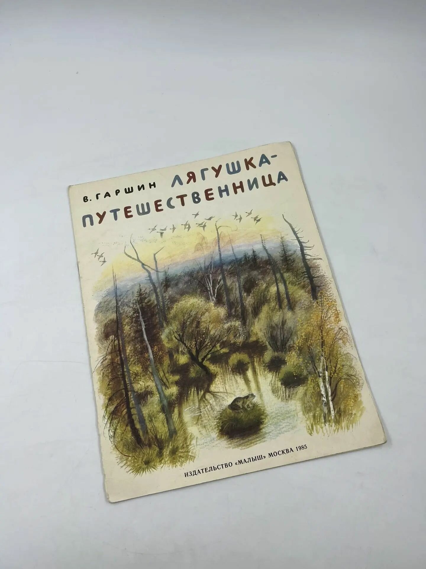 Лягушка-путешественница. 1985 г