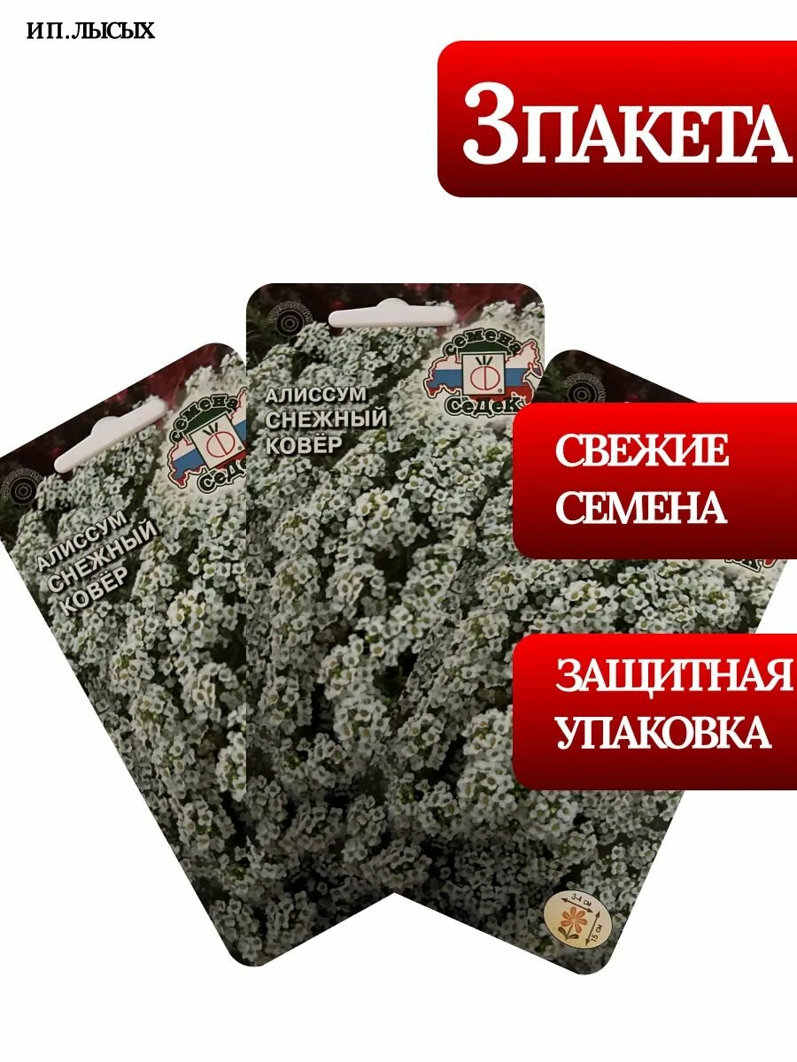 Семена Алиссум "Снежный Ковер"