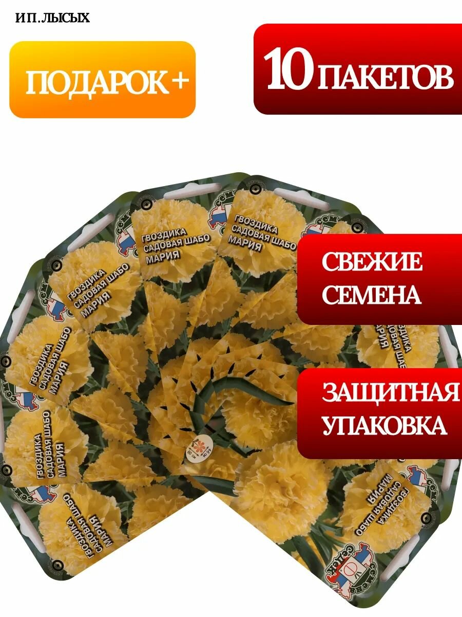 Семена Гвоздика "Мария"