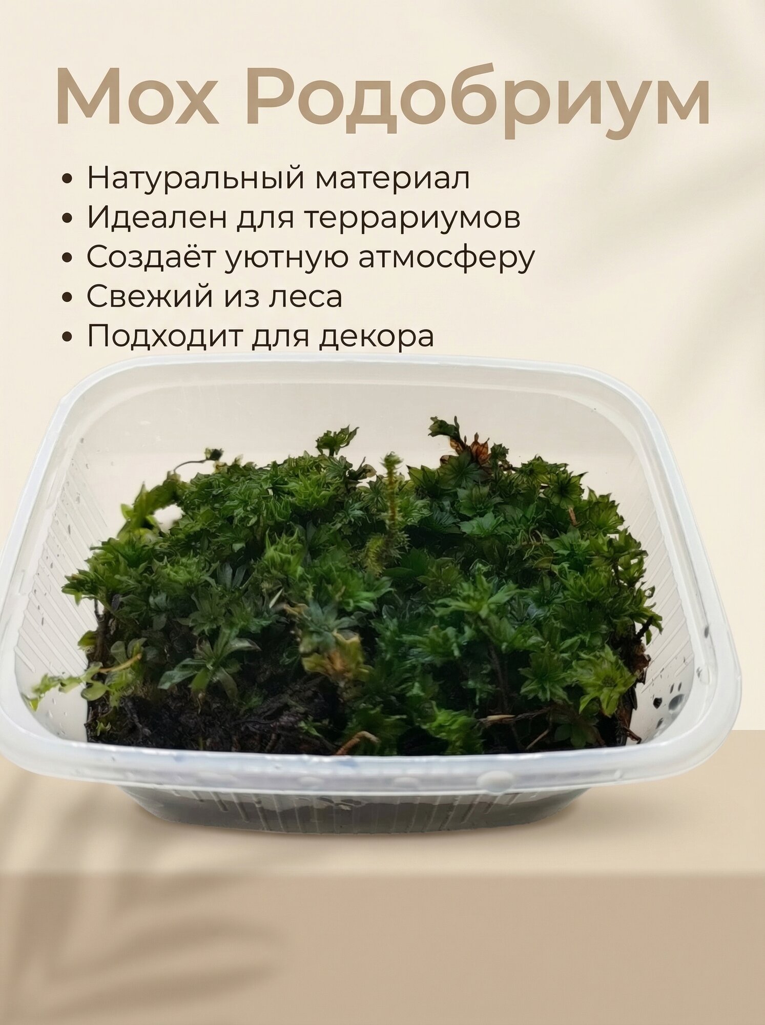 Мох родобриум свежий лесной 250 мл, для растений