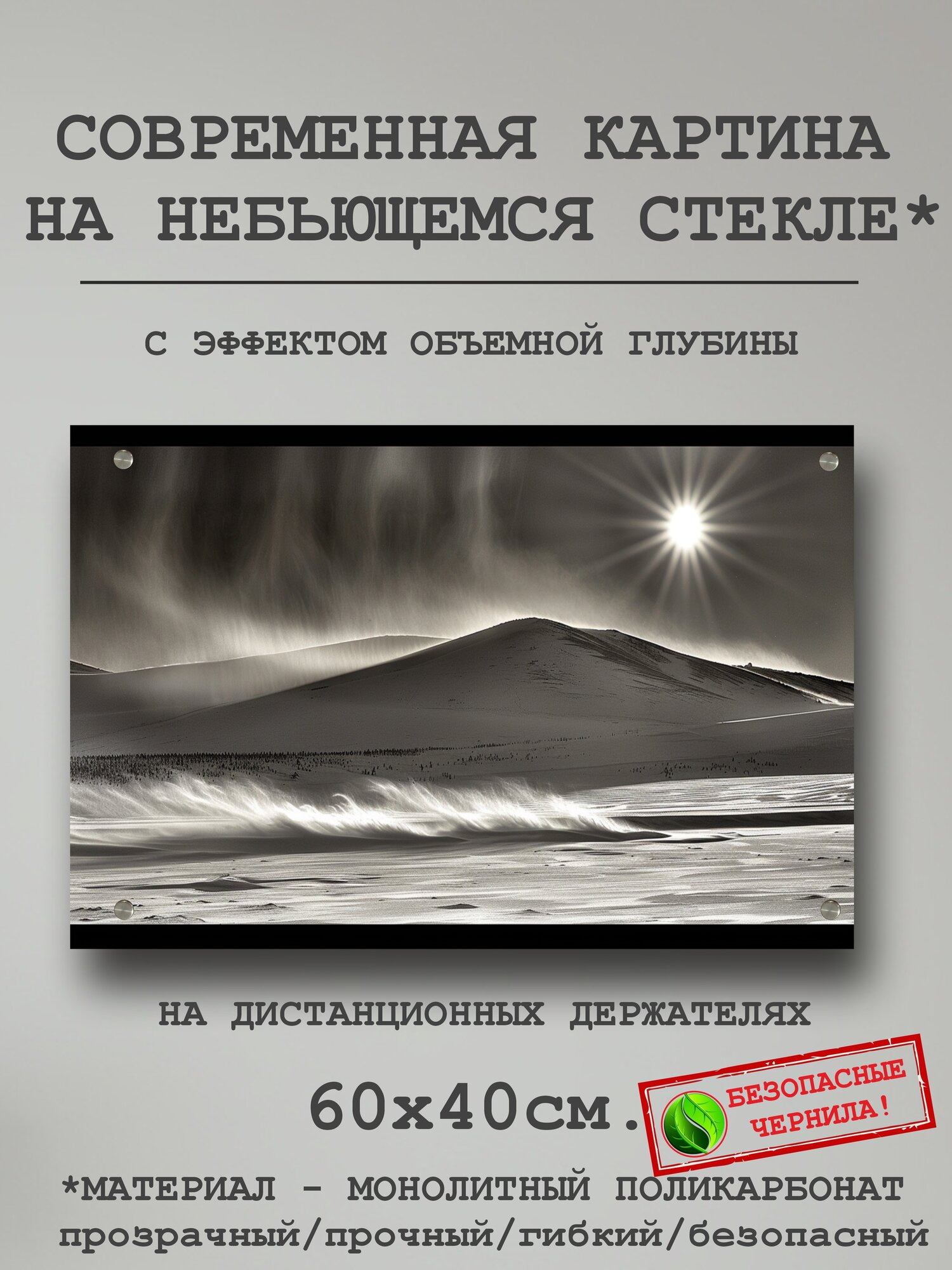 Современная картина на небьющемся стекле 60x40 см Тундра ч. б. . Парящие крепления на дистанционных держателях.