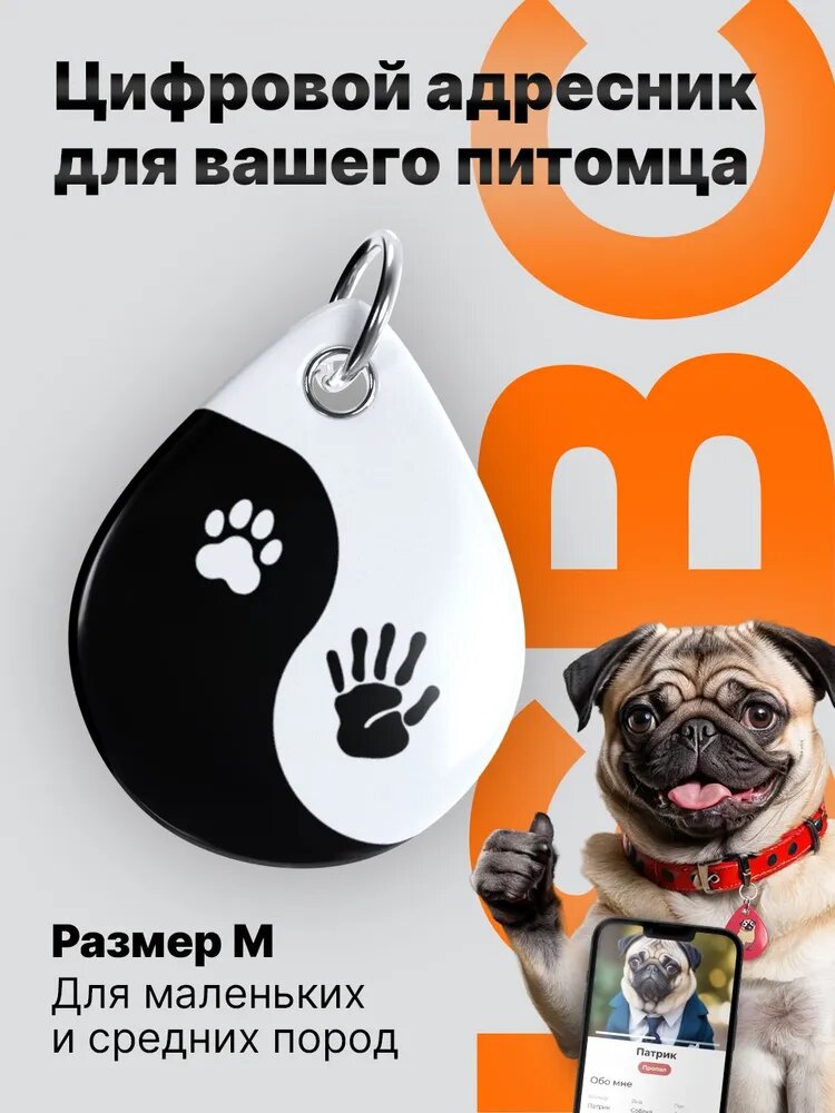 Адресник для собак и кошек от ISBC с NFC и QR-кодом, Гармония