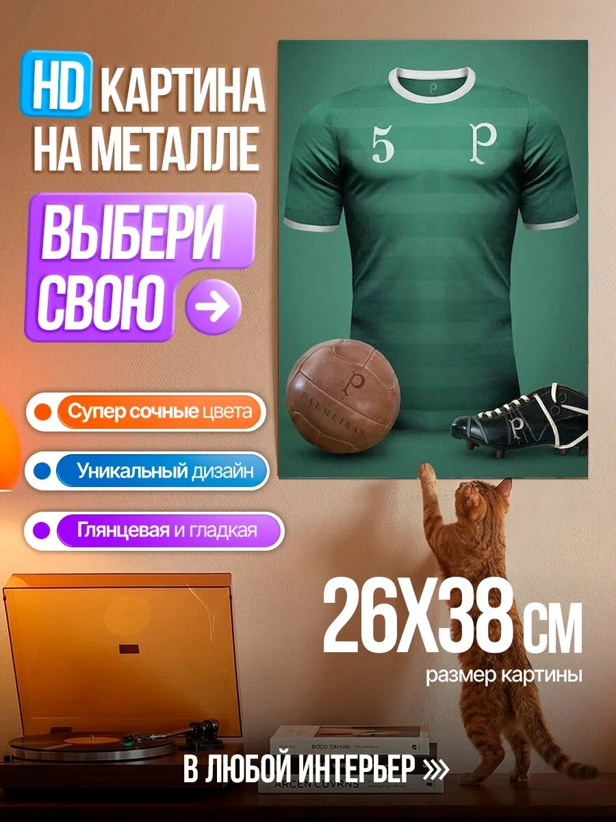 Картина на HD металле Футбольная форма и мяч