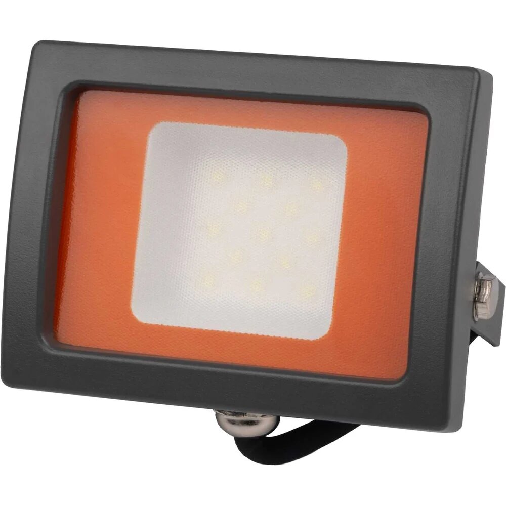 Светодиодный прожектор Jazzway PFL-SC 10Вт 6500К IP65 190-260В закален. матов. стекло 5004863