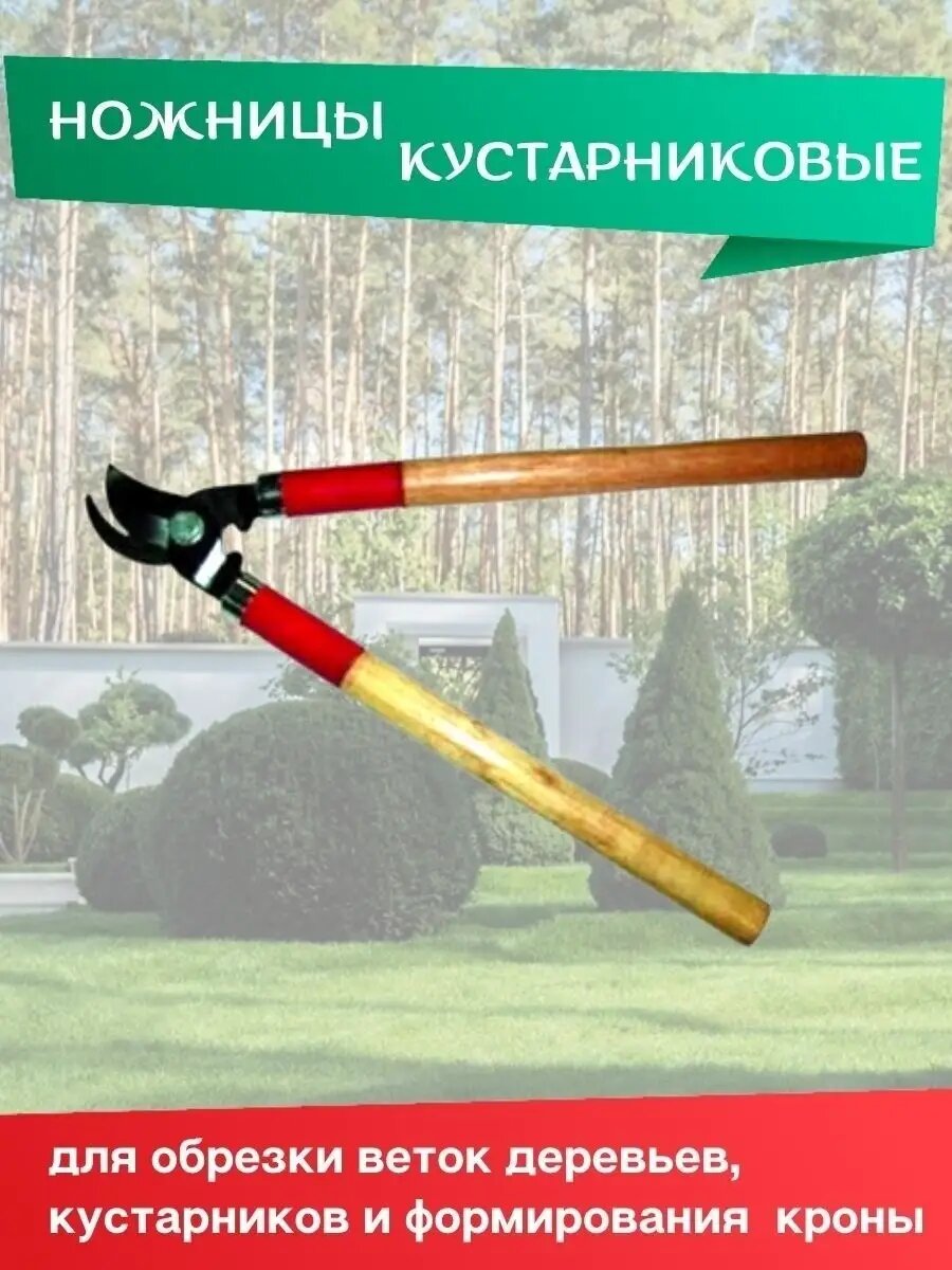 Ножницы садовые для кустарников