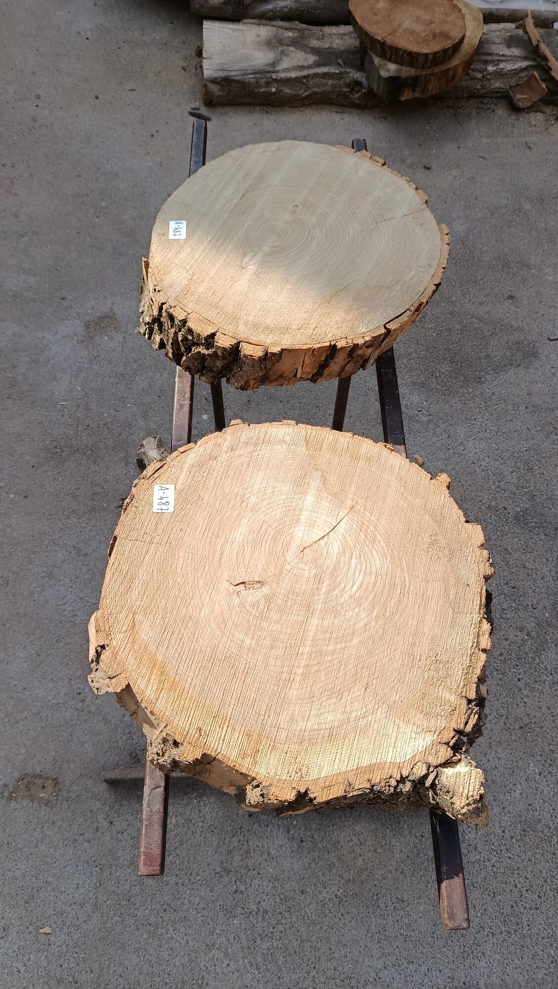 Спил из массива ясеня , комплект из 2-х штук 35х35х6см,34х33х8см(А487) высушенный и не фрезерованный,