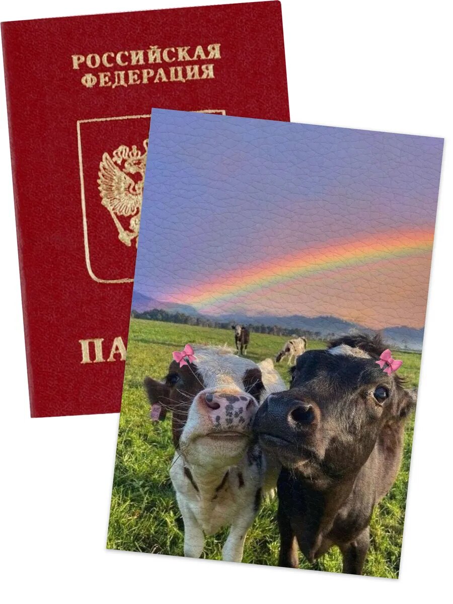 Обложка для паспорта