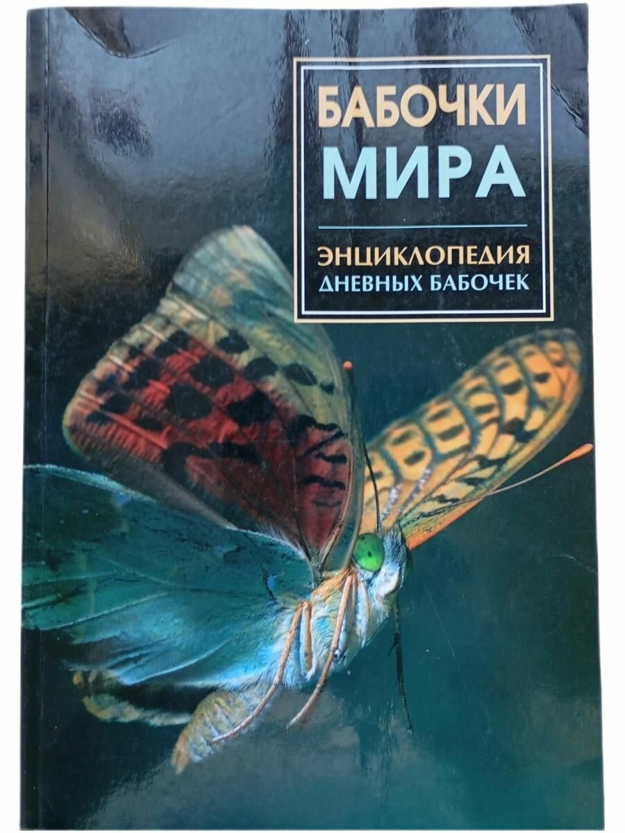 Бабочки мира. Энциклопедия дневных бабочек