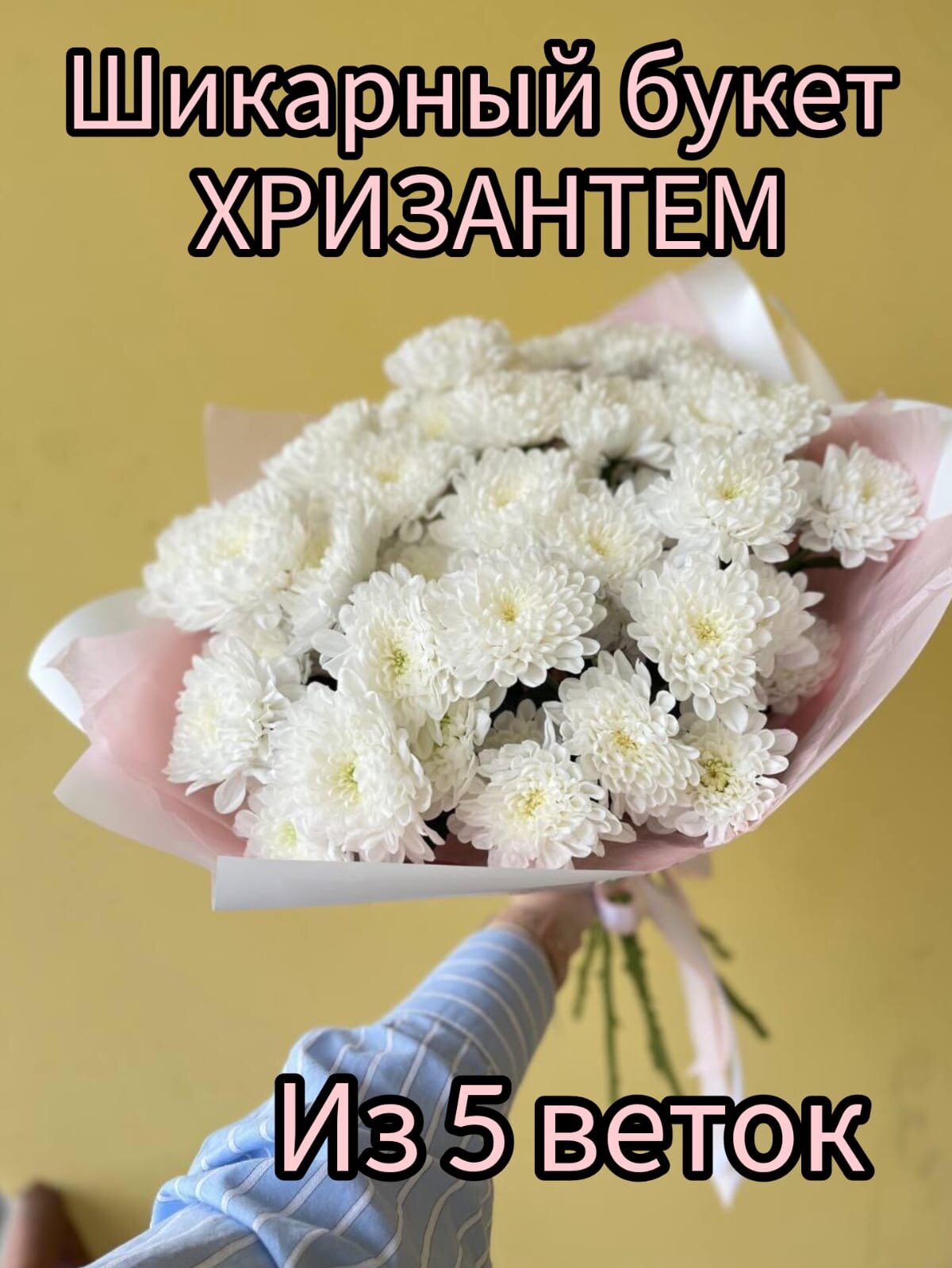 Облако из хризантем в розовой упаковке 5 шт