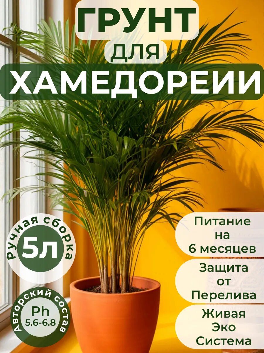 Готовый авторский грунт для Хамедореии, премиум 5 литров