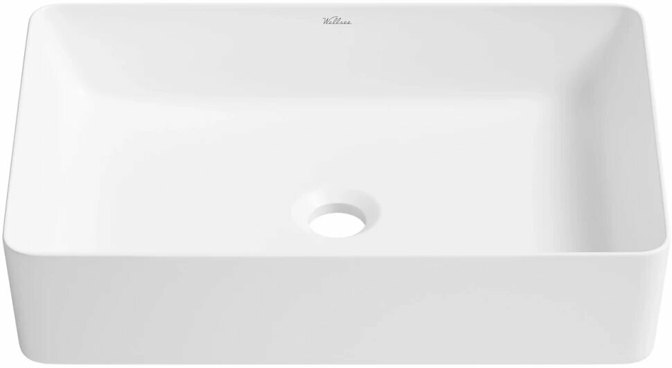 Раковина-чаша Wellsee FreeDom 2.0 323012000 50x34 см, накладная, белый матовый