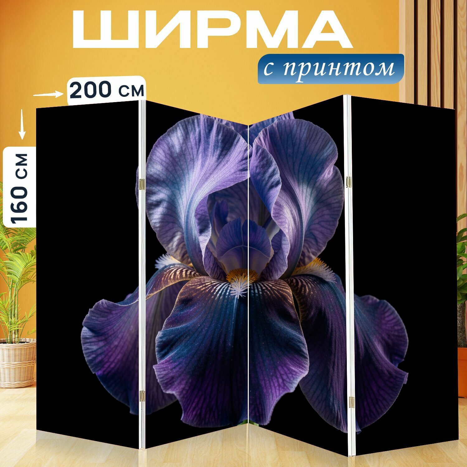 Ширма "Фиолетовый ирис на черном фоне. Крупный план изящного цветка в макросъемке: бархатные лепестки лиловых." перегородка для зонирования комнаты с принтом 200x160 см. на холсте