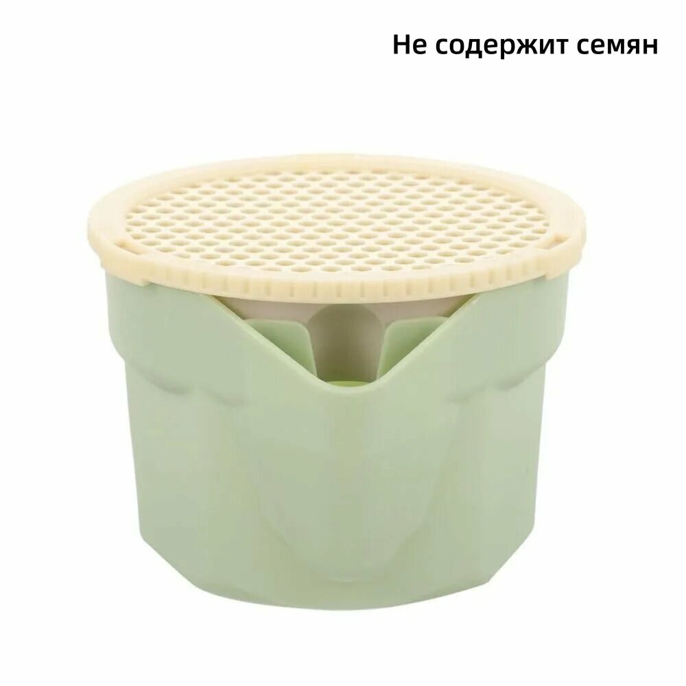 Чашка для выращивания травы "Кошачья", многоразовая, съемная, 7x9 см, зеленая
