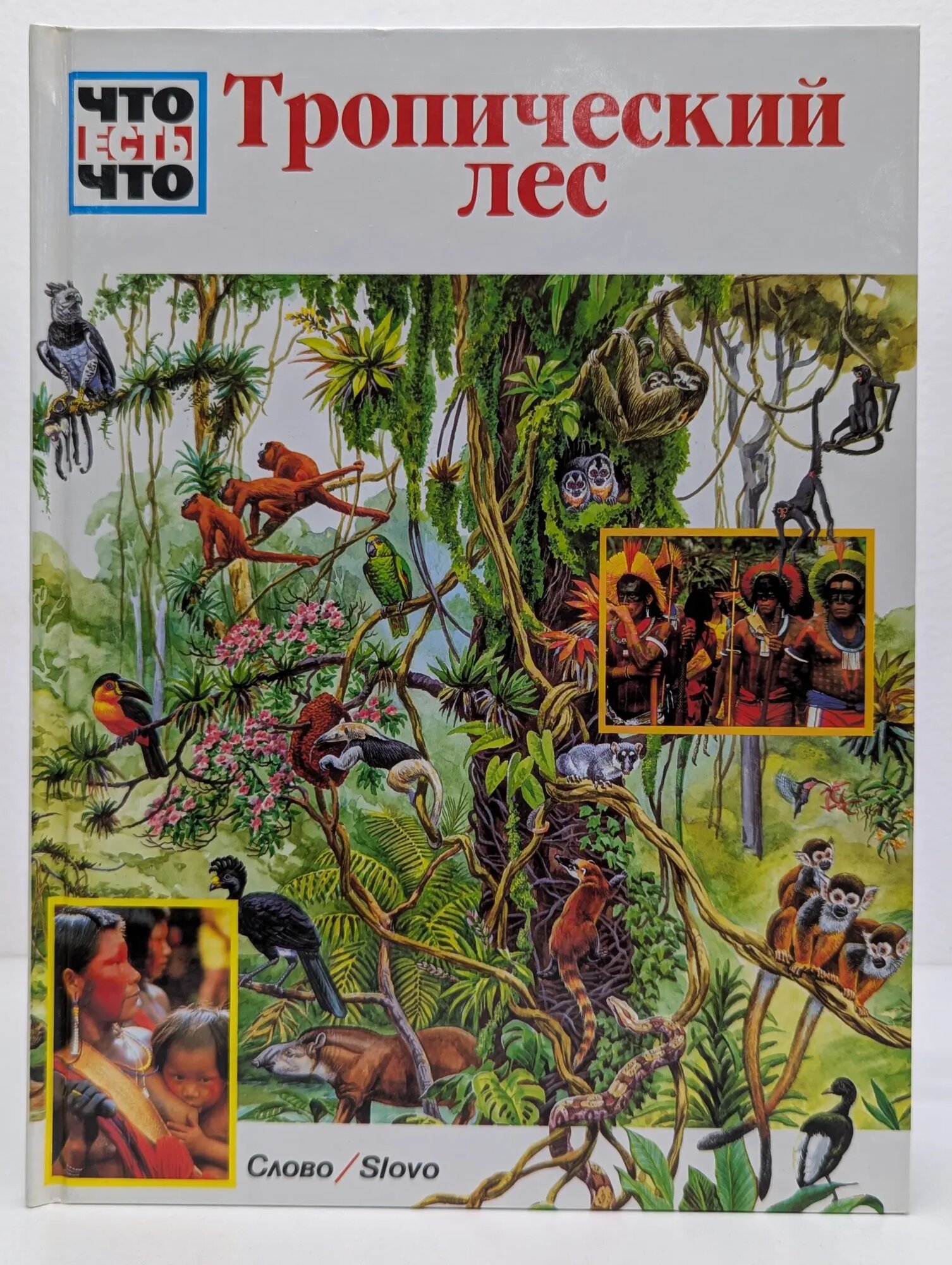 Что есть что. Тропический лес Мертини Андреа 1994