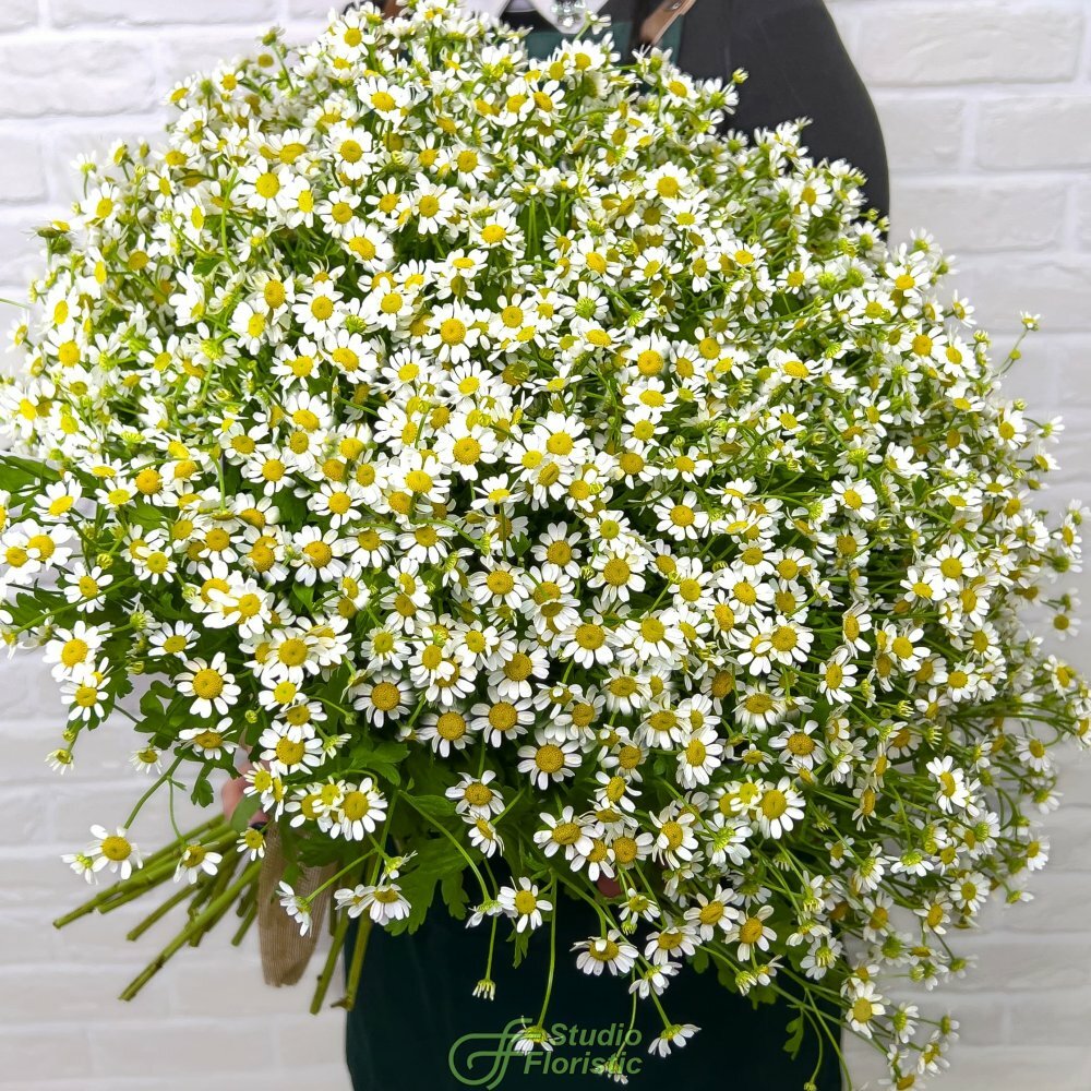 Букет STUDIO FLORISTIC "Летний день", 51 ромашка, 50см, монобукет