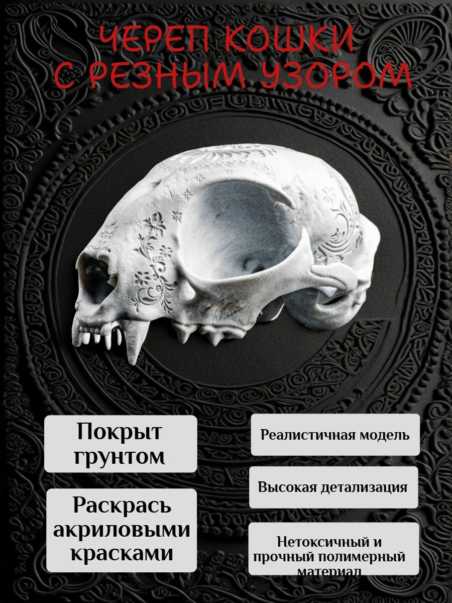 Череп домашней кошки с резными узорами - коллекционная фигурка - реальный размер